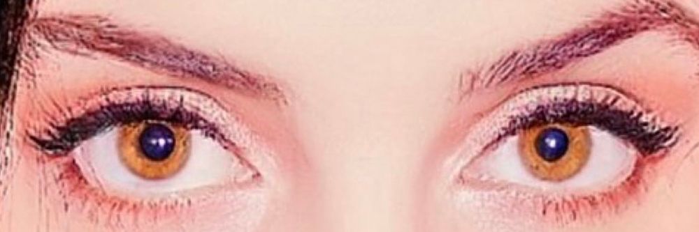 divajilly OnlyFans - Stats, Graphs, Photos & Profile Comparisons ...