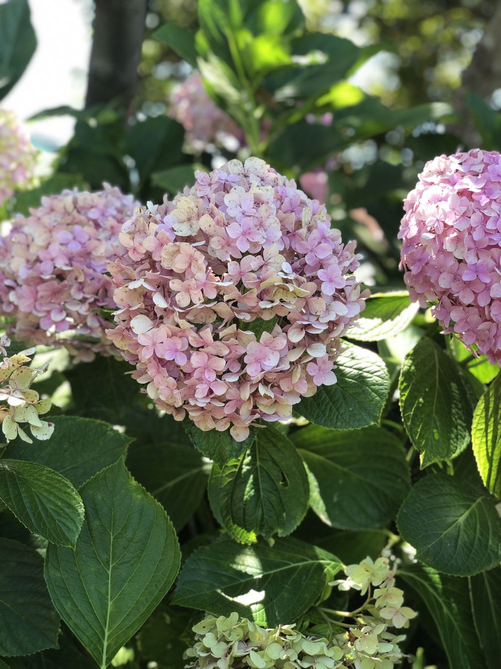 kinkykath OnlyFans - Stats, Graphs, Photos & Profile Comparisons ...