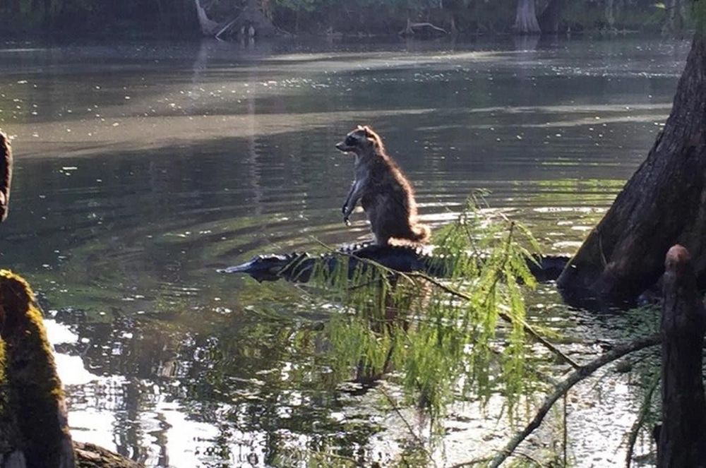 mike_mikem OnlyFans - Stats, Graphs, Photos & Profile Comparisons ...