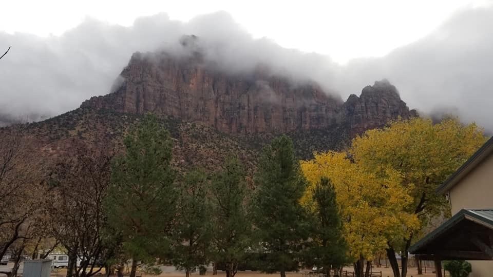 bbybee9 OnlyFans - Free Trial - XXX Photos | FansMetrics.com