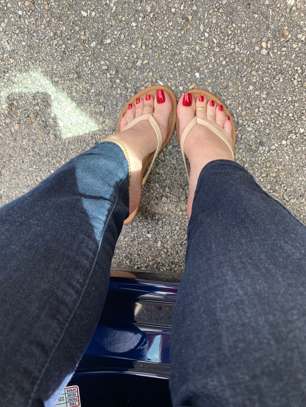 toestandards__ OnlyFans - Stats, Graphs, Photos & Profile Comparisons ...