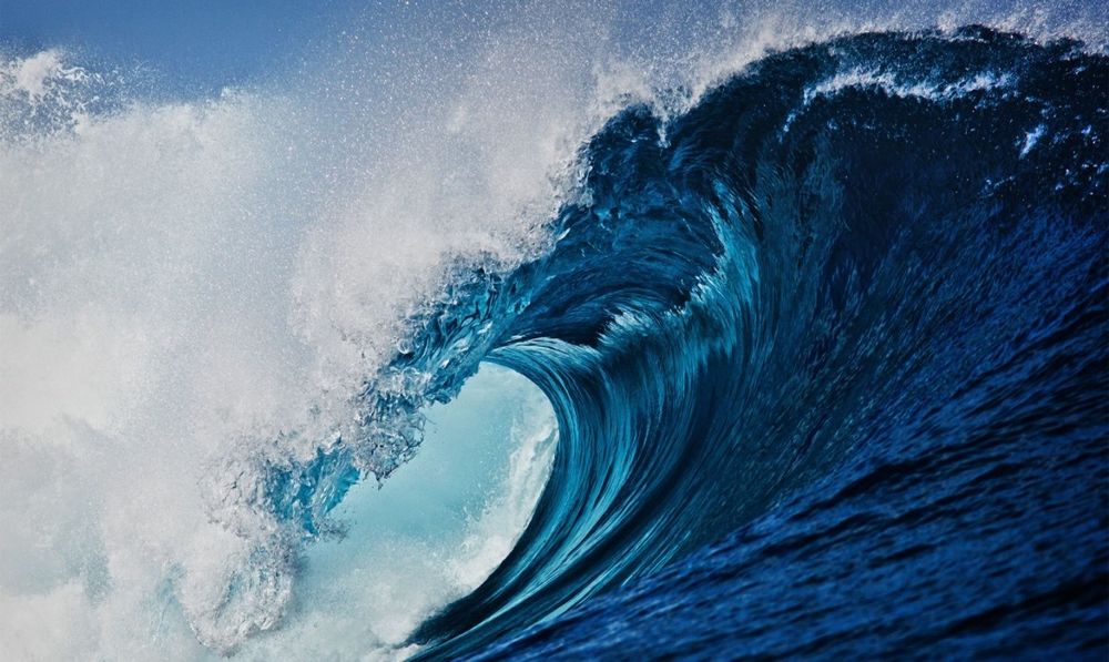 sebastian_bluu OnlyFans - Stats, Graphs, Photos & Profile Comparisons ...