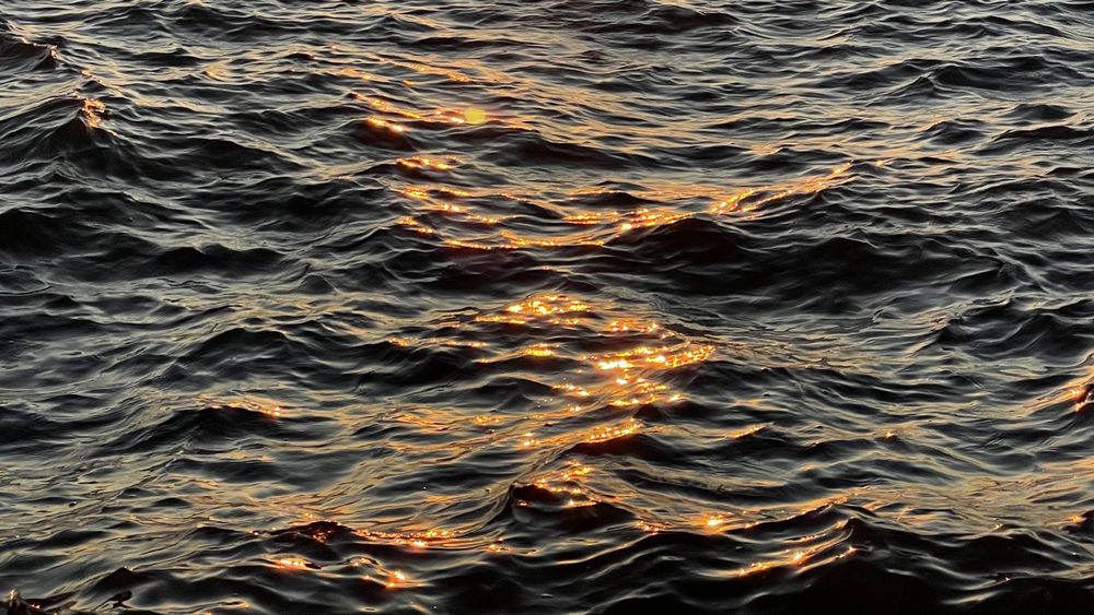 lucalavanda OnlyFans - Stats, Graphs, Photos & Profile Comparisons ...