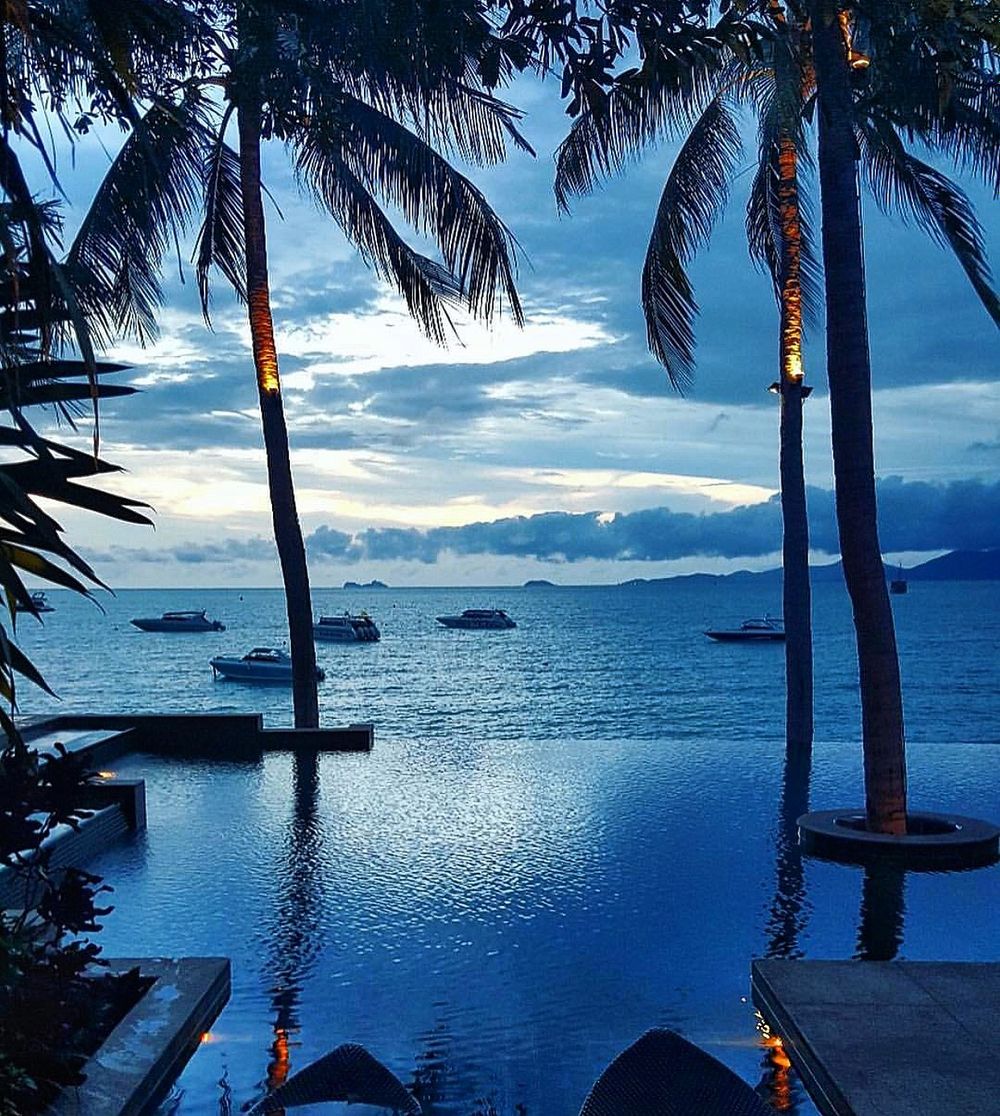 sarahhh OnlyFans - Stats, Graphs, Photos & Profile Comparisons ...