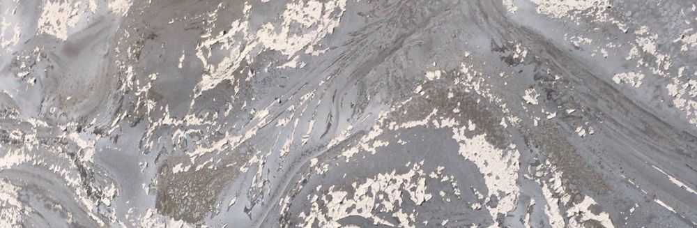 whoopsie_hoeno OnlyFans - Stats, Graphs, Photos & Profile Comparisons ...