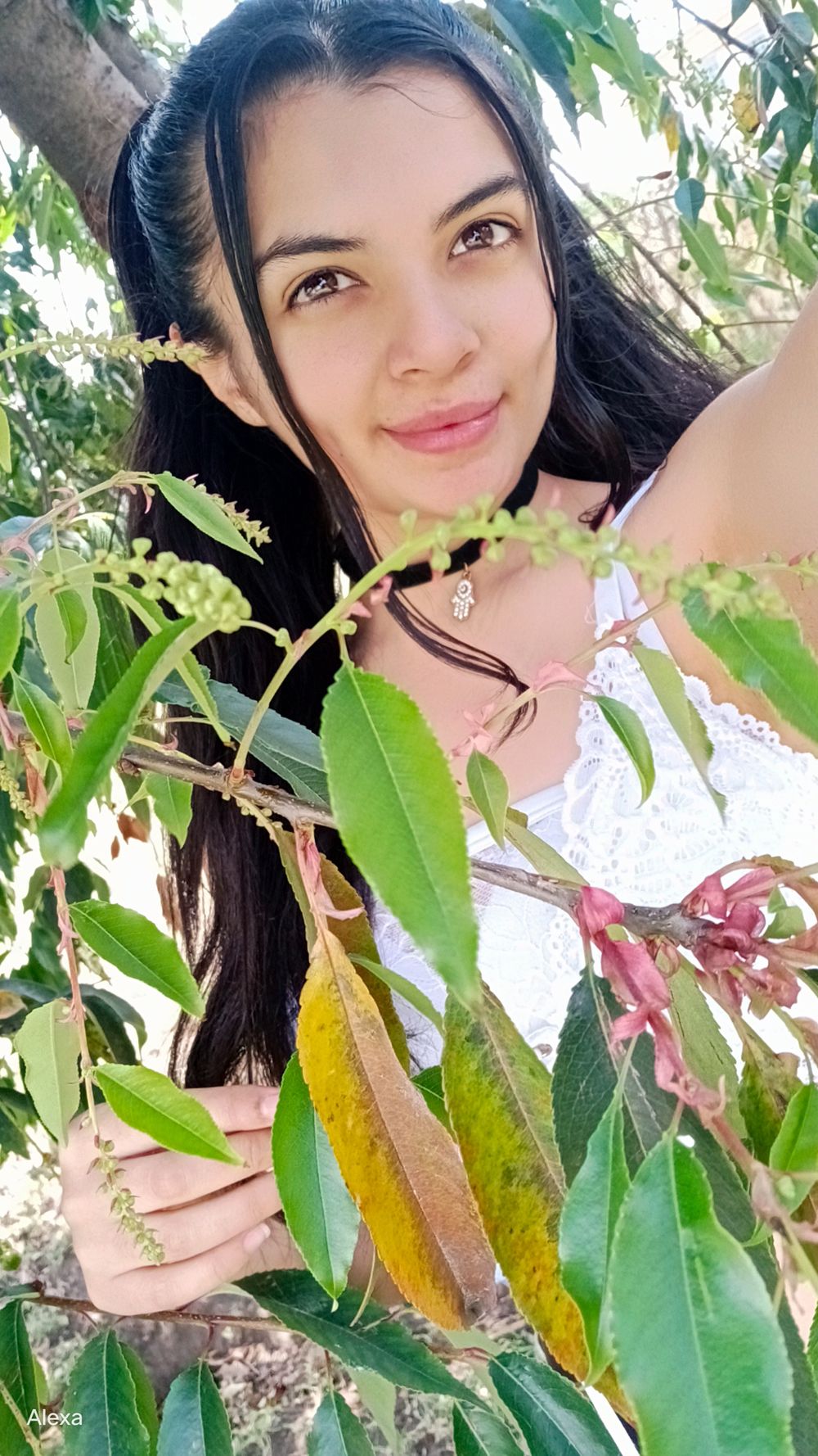 alexaescobar18 OnlyFans - Stats, Graphs, Photos & Profile Comparisons ...