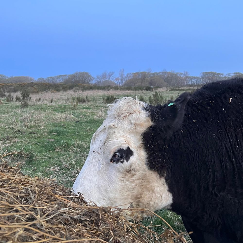 maxsmall OnlyFans - Free Trial - XXX Photos | FansMetrics.com