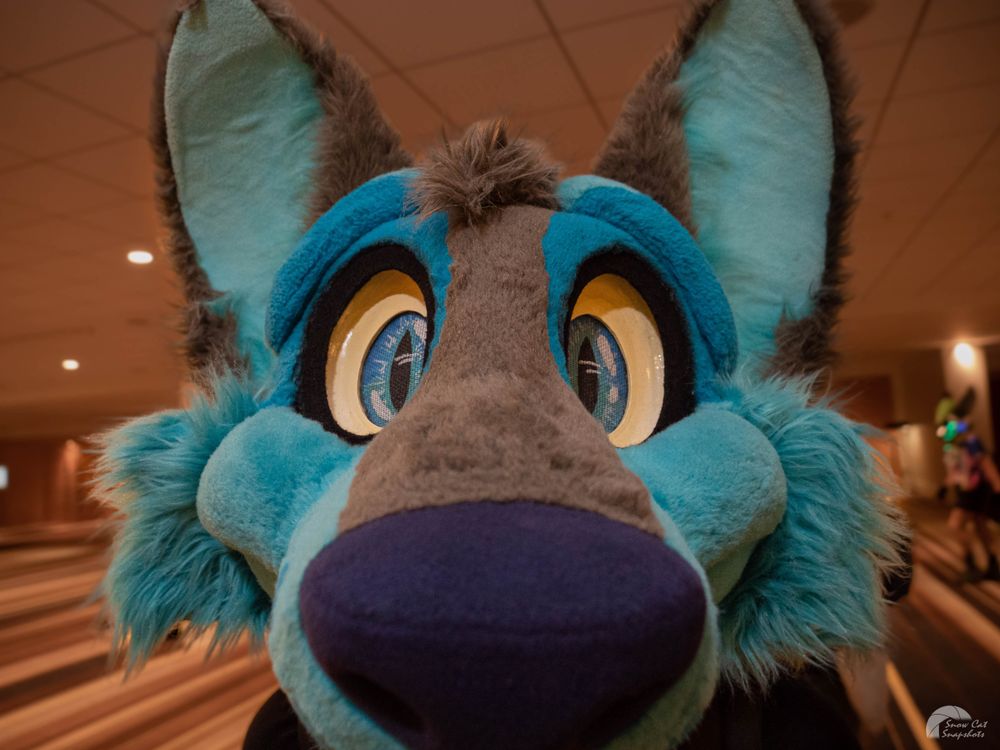 neon_woof OnlyFans - Stats, Graphs, Photos & Profile Comparisons ...