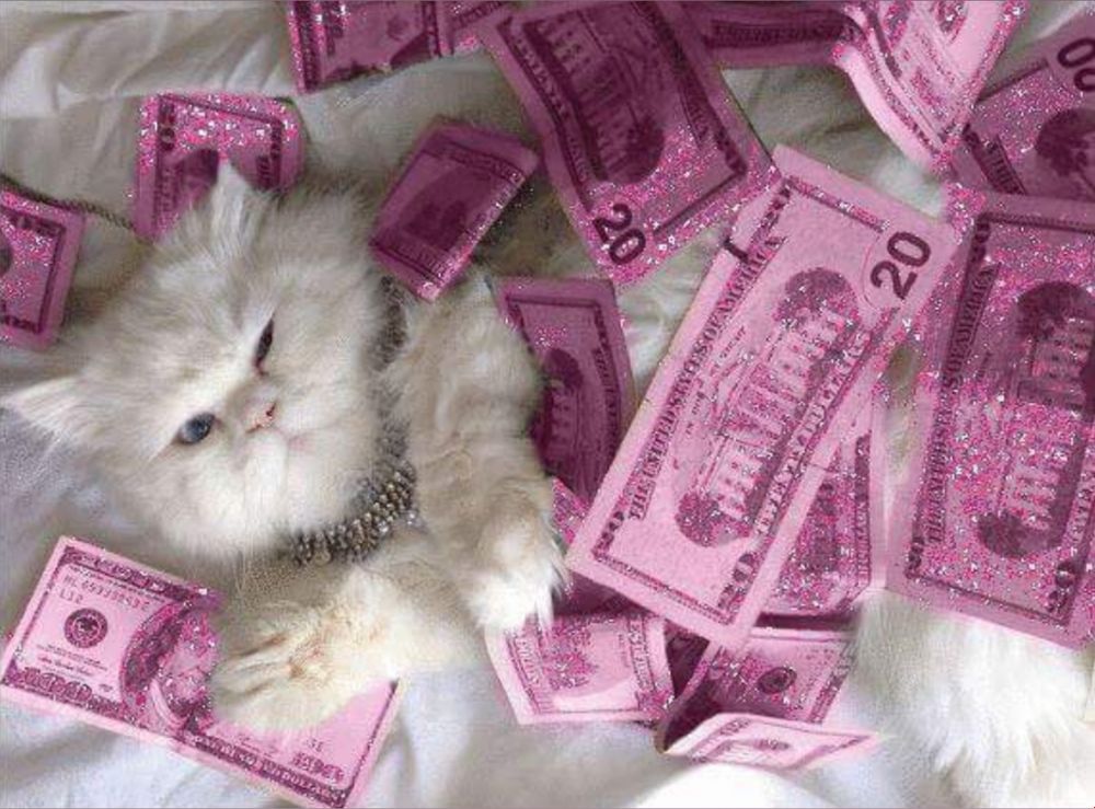 nakittyycat OnlyFans - Stats, Graphs, Photos & Profile Comparisons ...