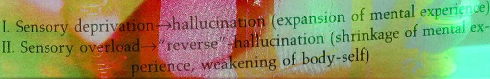 b.persei OnlyFans - Stats, Graphs, Photos & Profile Comparisons ...