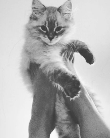 Best Hot Megsocks OnlyFans Accounts | FansMetrics.com