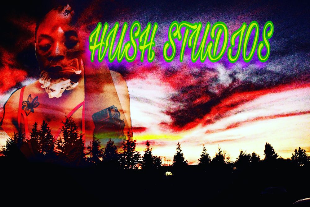 hush_studios OnlyFans - Stats, Graphs, Photos & Profile Comparisons ...