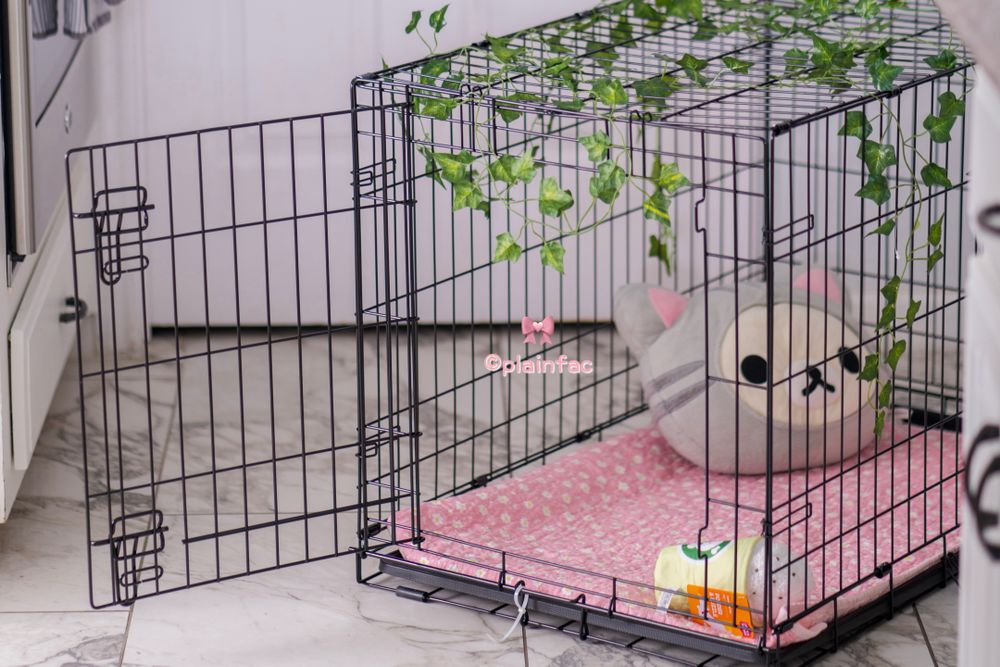 plainfac OnlyFans - Free Trial - XXX Photos | FansMetrics.com