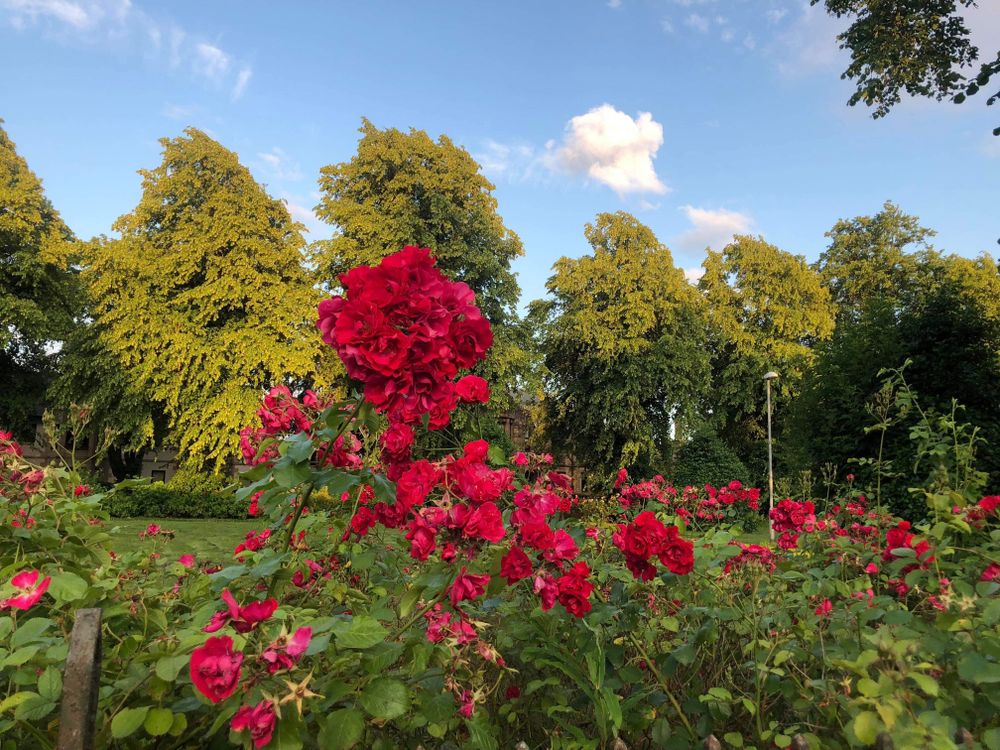 prxxxx OnlyFans - Stats, Graphs, Photos & Profile Comparisons ...