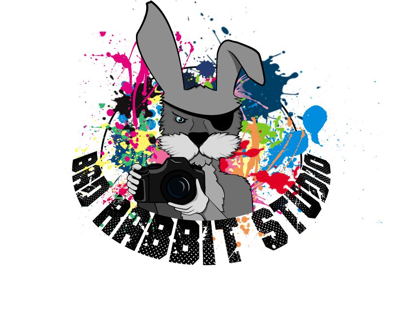 badrabbitstudio OnlyFans - Stats, Graphs, Photos & Profile Comparisons ...