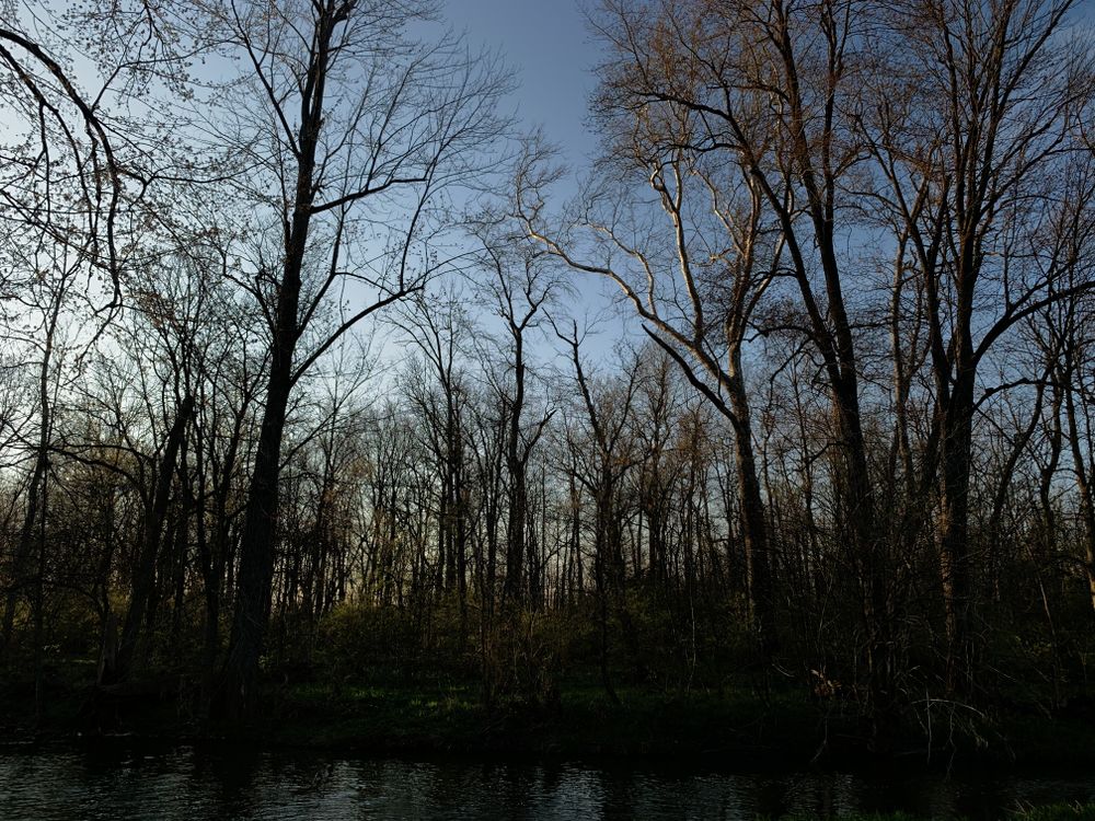 sethf OnlyFans - Free Trial - Photos - Socials | FansMetrics.com