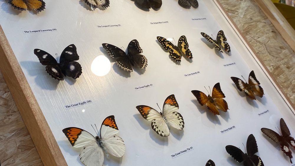 kaitun07 OnlyFans - Stats, Graphs, Photos & Profile Comparisons ...